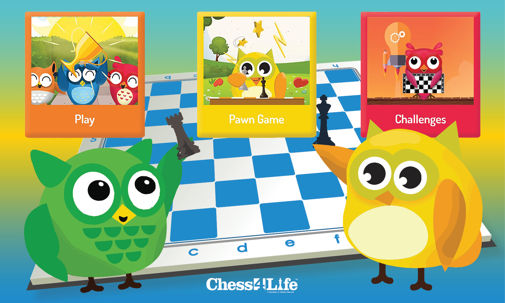 Sample of what's inside